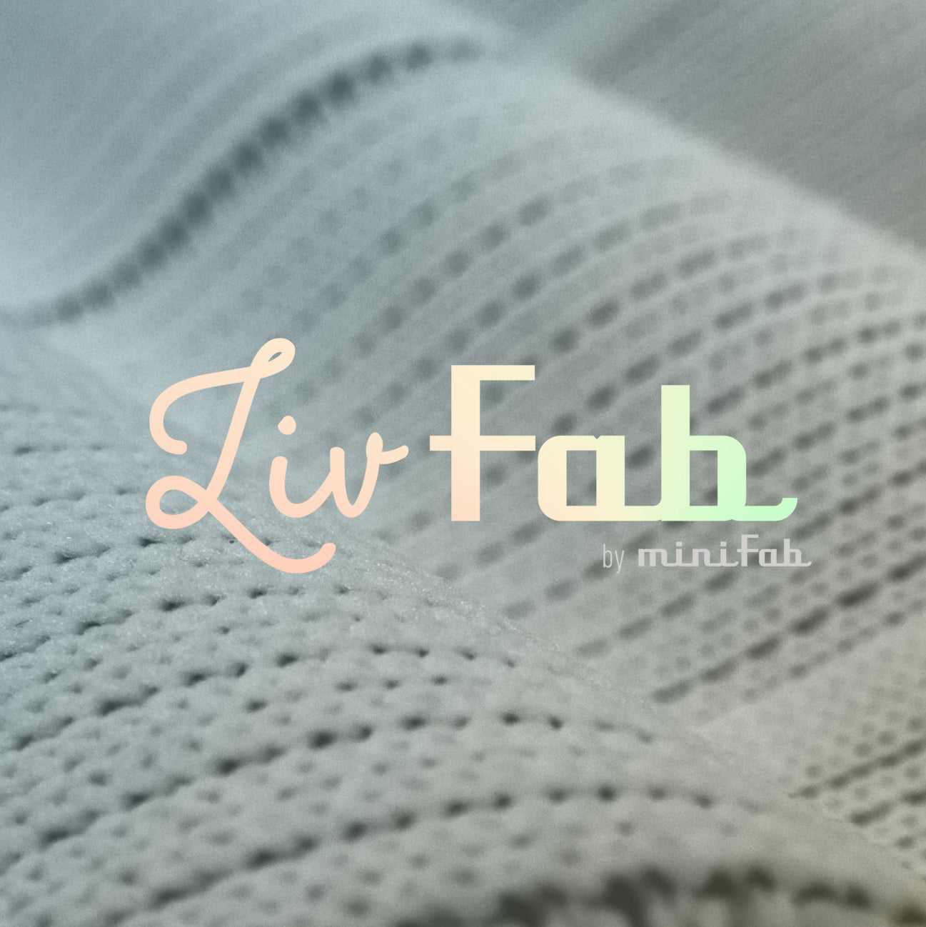 LivFab – miniFab