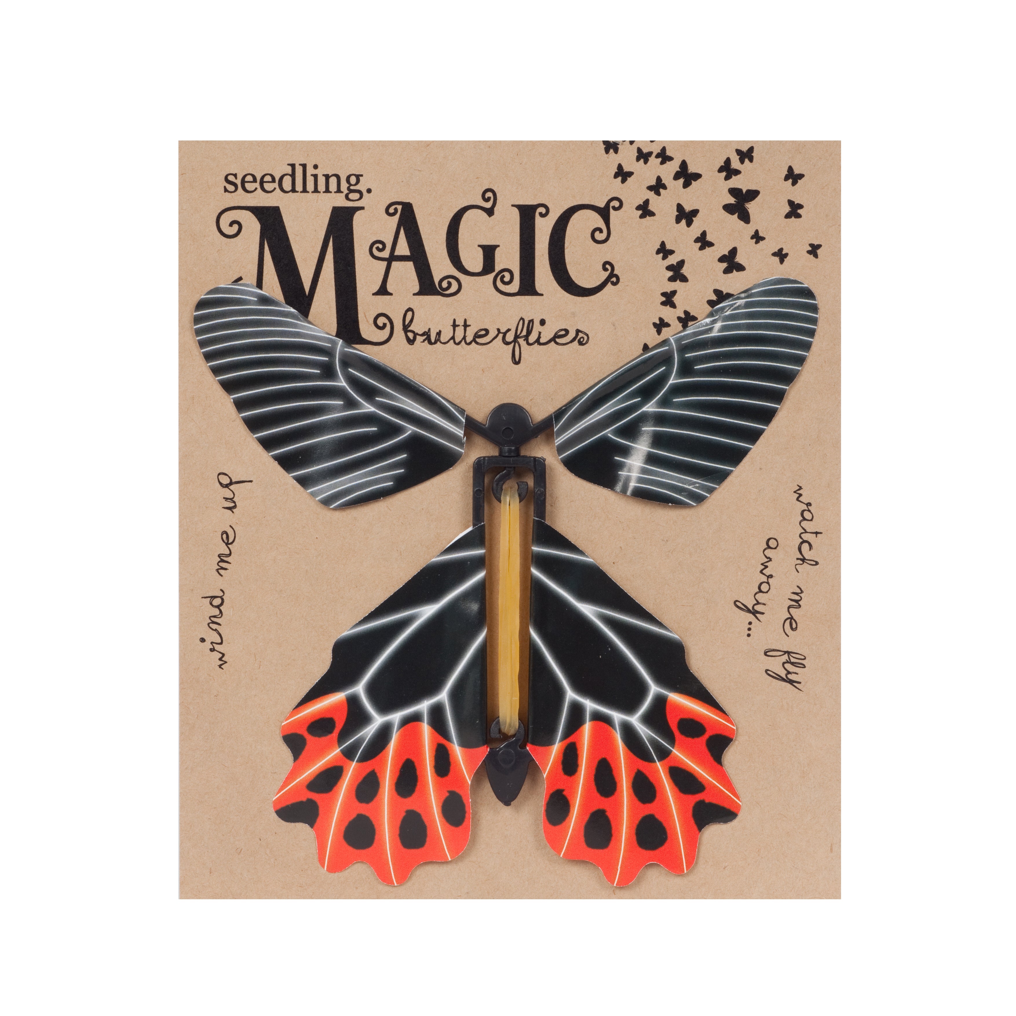 Magic Butterflies - Children Party Gifts Hong Kong – miniFab
